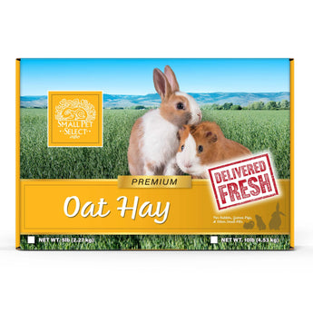 Premium Timothy Hay for Rabbits and Guinea Pigs – Small Pet Select U.S.