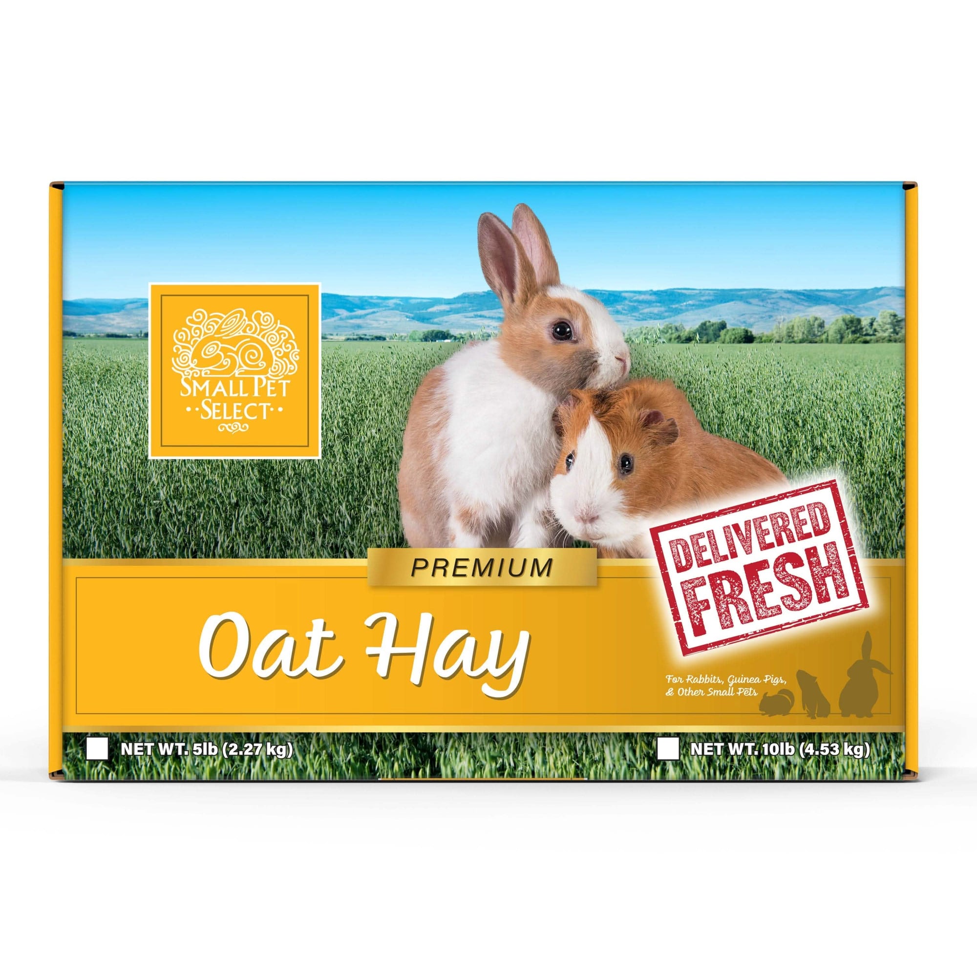 Oat Hay - A Great Source of Fiber and Protein - Small Pet Select U.S.