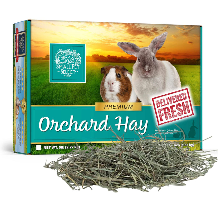 Premium Timothy Hay for Rabbits and Guinea Pigs - Small Pet Select U.S.