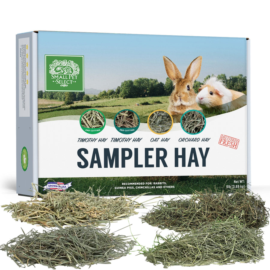 Premium Timothy Hay for Rabbits and Guinea Pigs - Small Pet Select U.S.