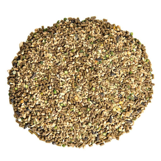 Chicken Items – Small Pet Select U.S.