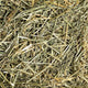 Oat Hay - A Great Source of Fiber and Protein – Small Pet Select U.S.